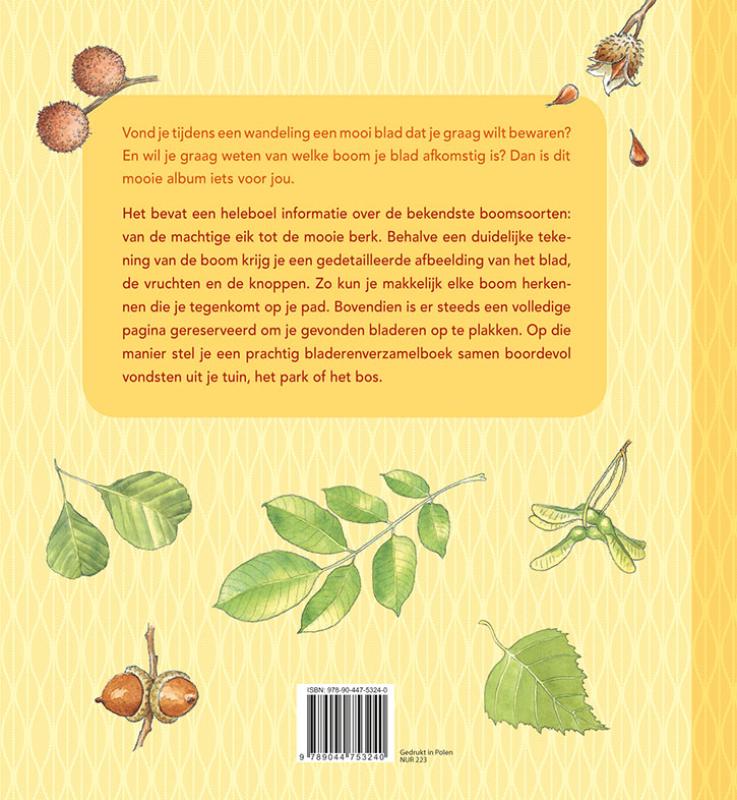 Mijn mooiste bladeren verzamelboek | Tweedehands | BoekenBalie