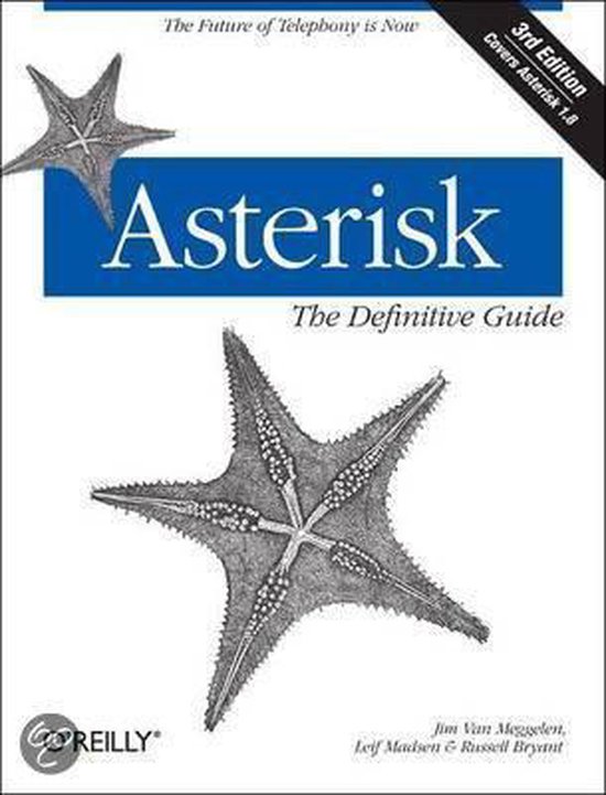 Asterisk: The Definitive Guide | Tweedehands | BoekenBalie