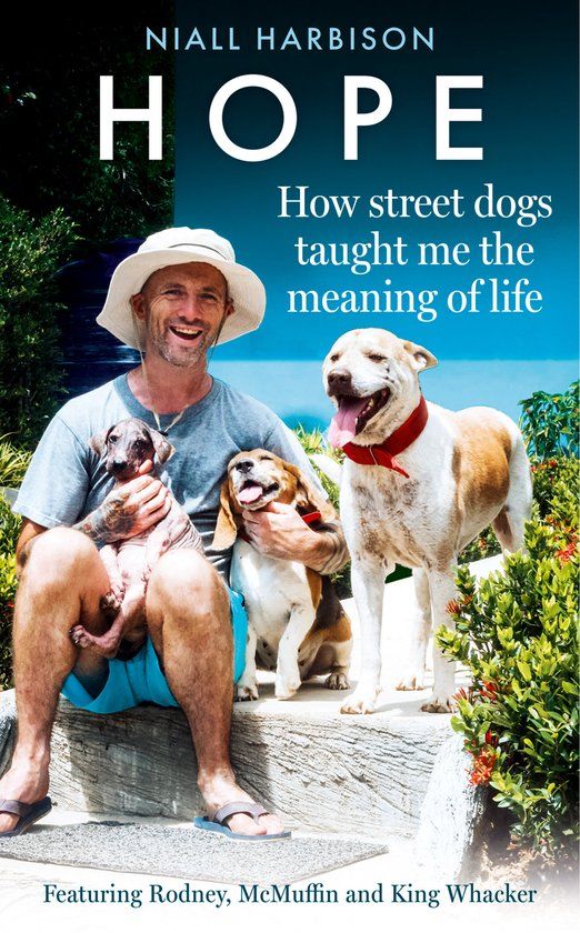 Hope – How Street Dogs Taught Me the Meaning of Life | Tweedehands ...